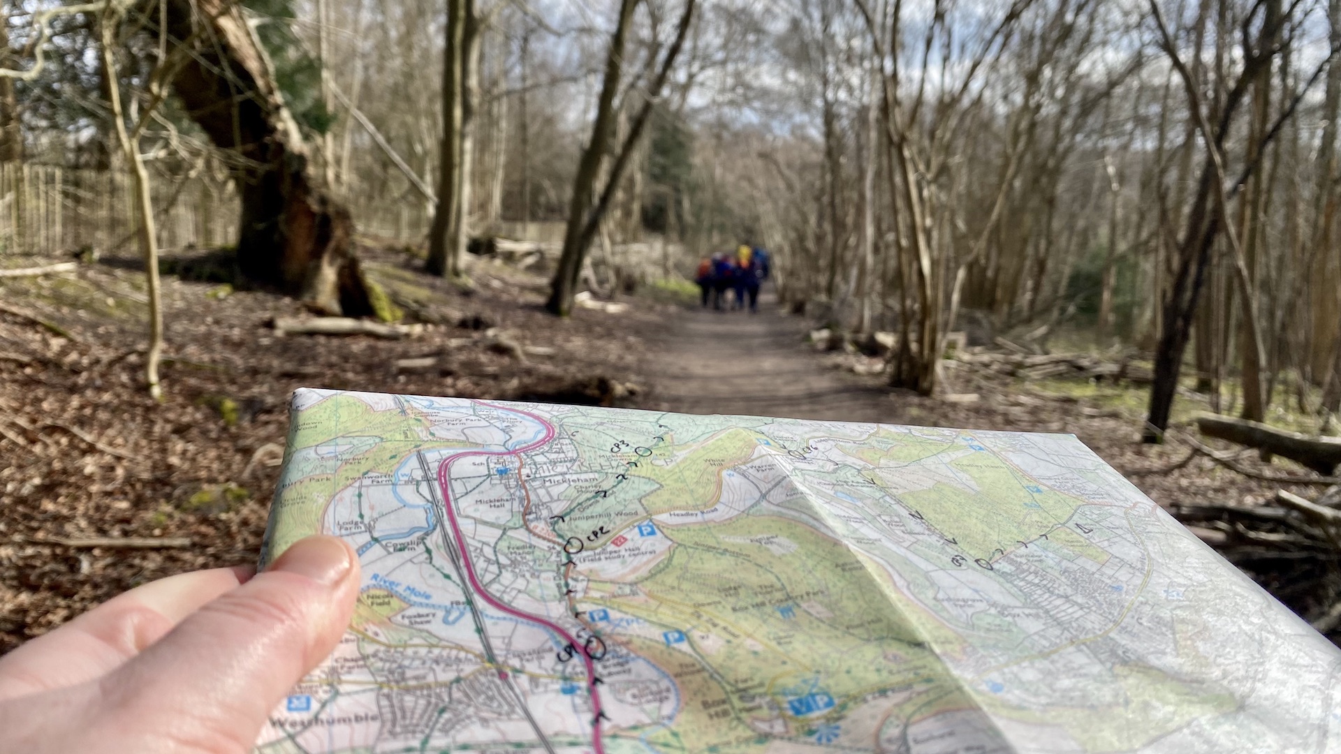 Welcome to Bramble and Gorse - Bramble & Gorse